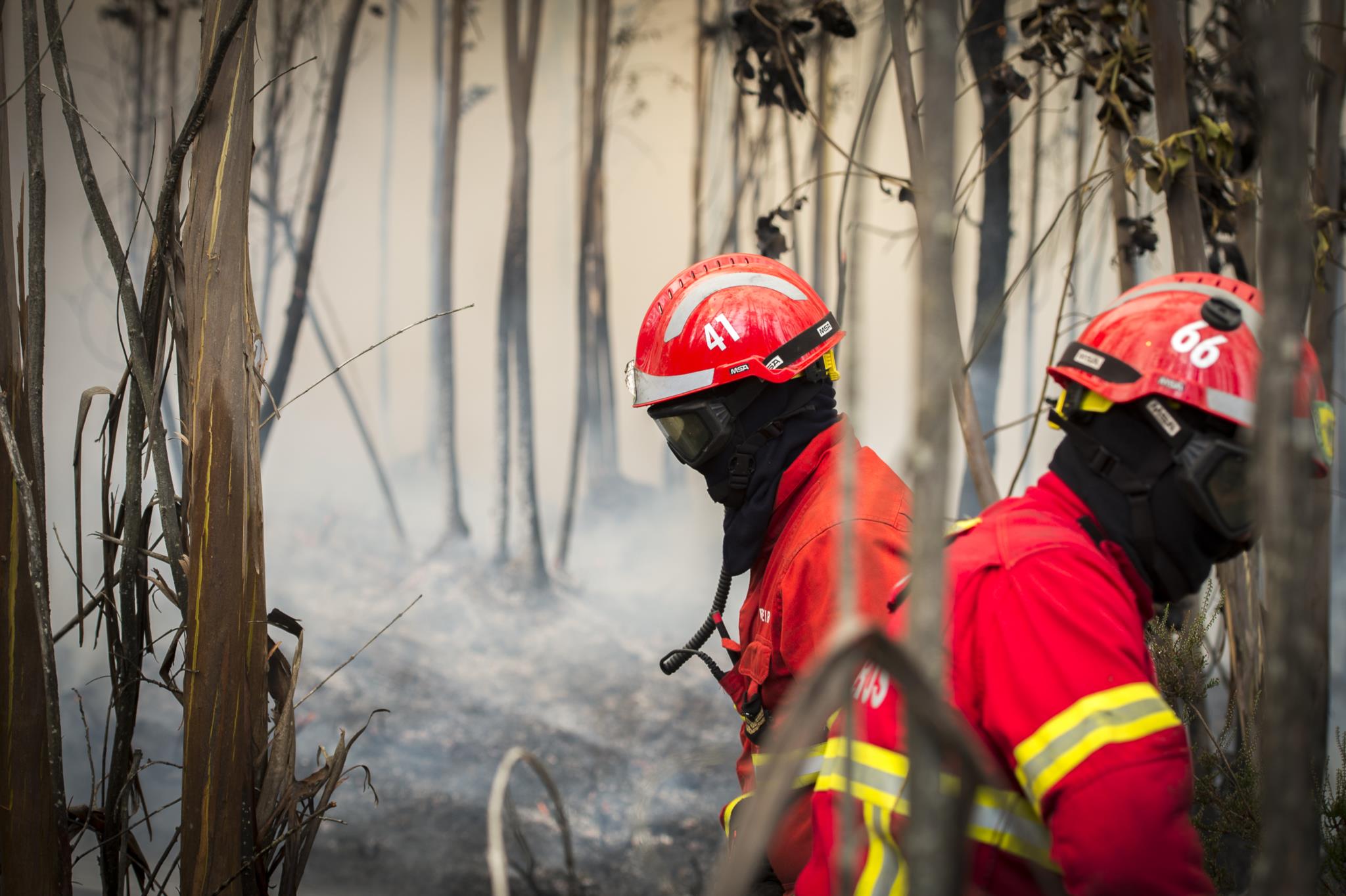 Um bombeiro desaparecido e vários civis feridos no incêndio de Pedrógão ...