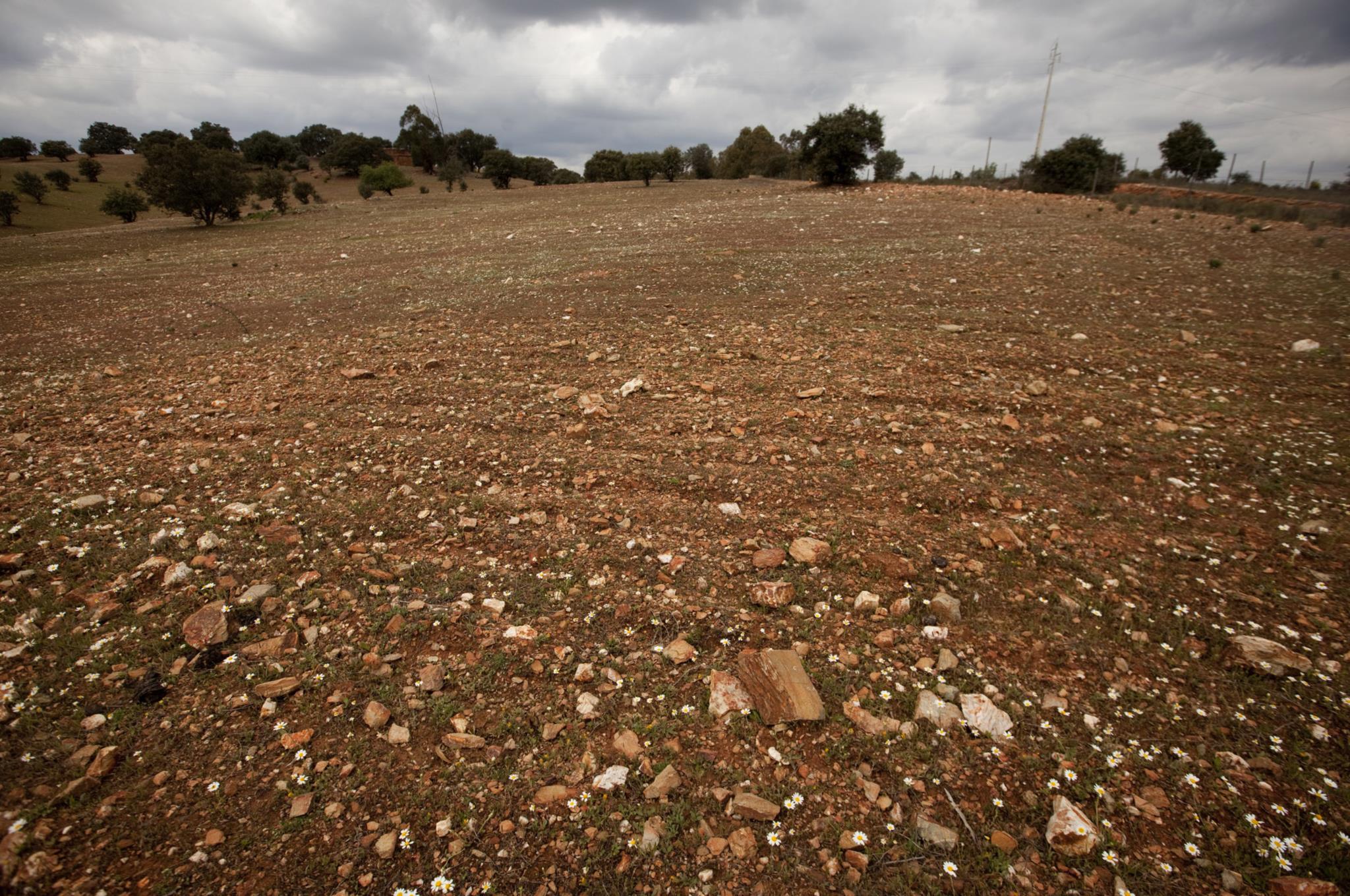 Seca em quase 80% de Portugal. Governo activa plano de contingência ...