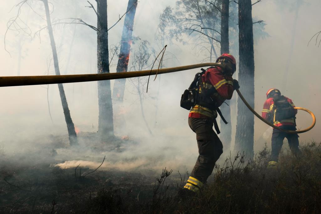 Incêndios florestais | Sobe para 60 o número de detidos por suspeita de ...